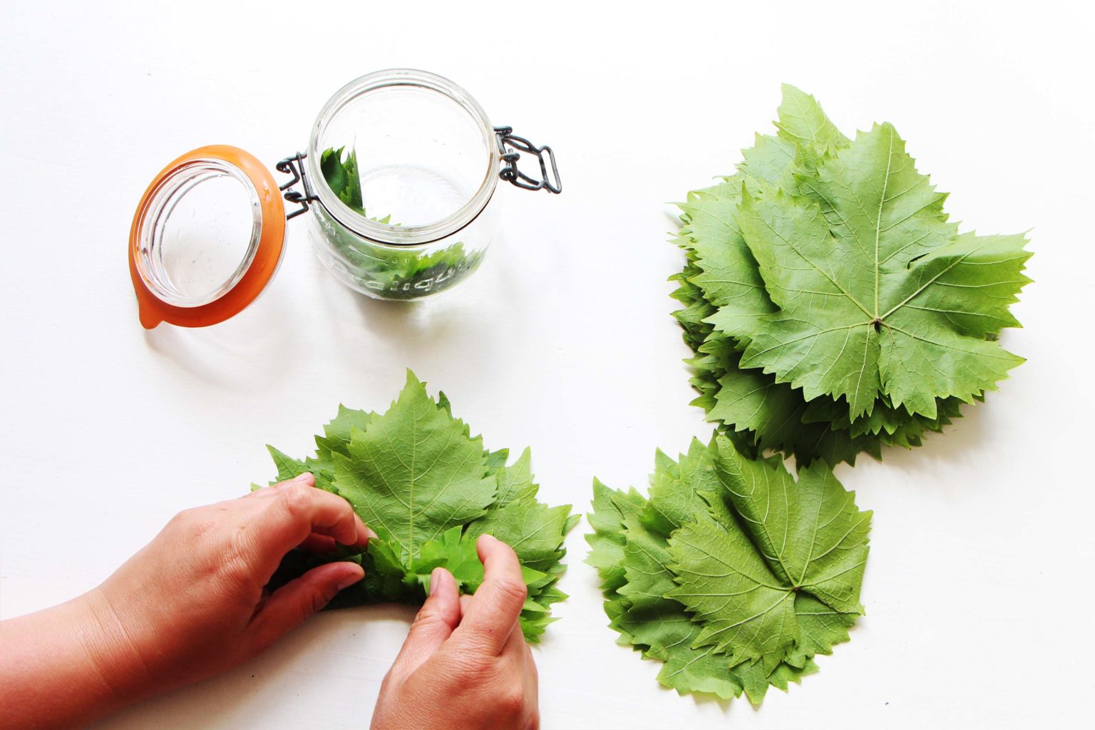 Comment préparer des feuilles de vignes en saumure à farcir ? - Au four ...